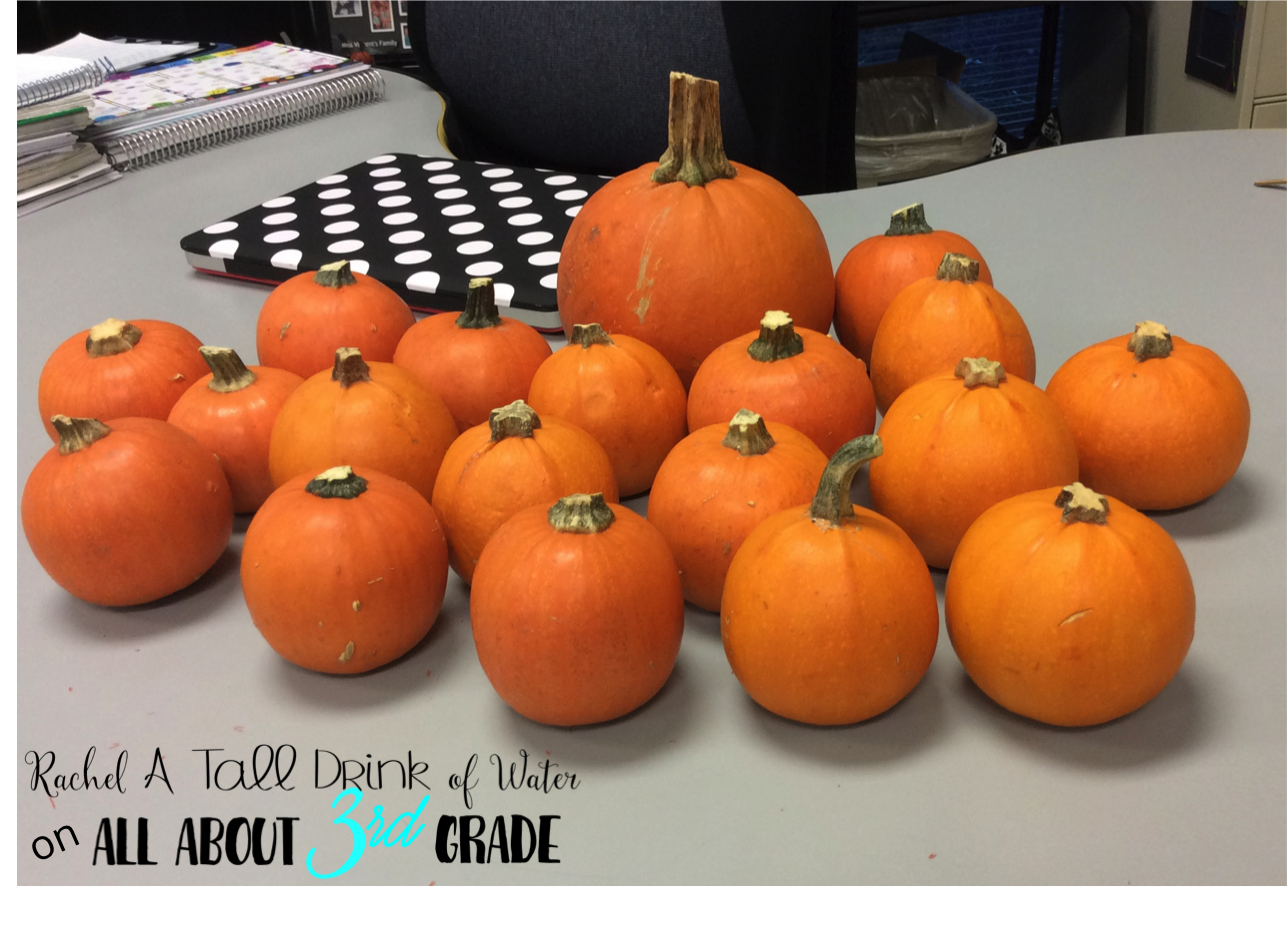 Pet Pumpkin Writing Project | All About 3rd Grade