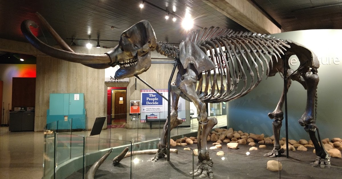 Travels of a Hobgoblin Taphophile: Conway Mastodon - Ohio History Center