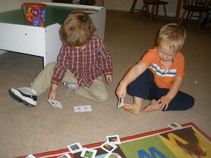 Little Adventures Preschool: Preschool 11/16 Insects