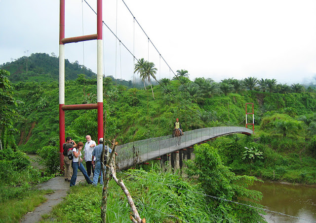 Bridge of the Week: Ecuador's Bridges: Puente Rio Cupa (1)