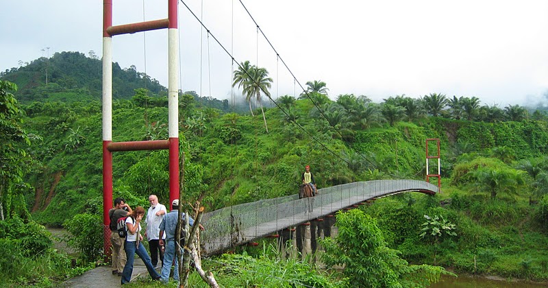 Bridge of the Week: Ecuador's Bridges: Puente Rio Cupa (1)