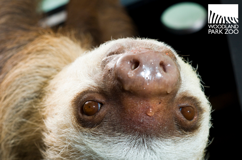 The Night Exhibit rises