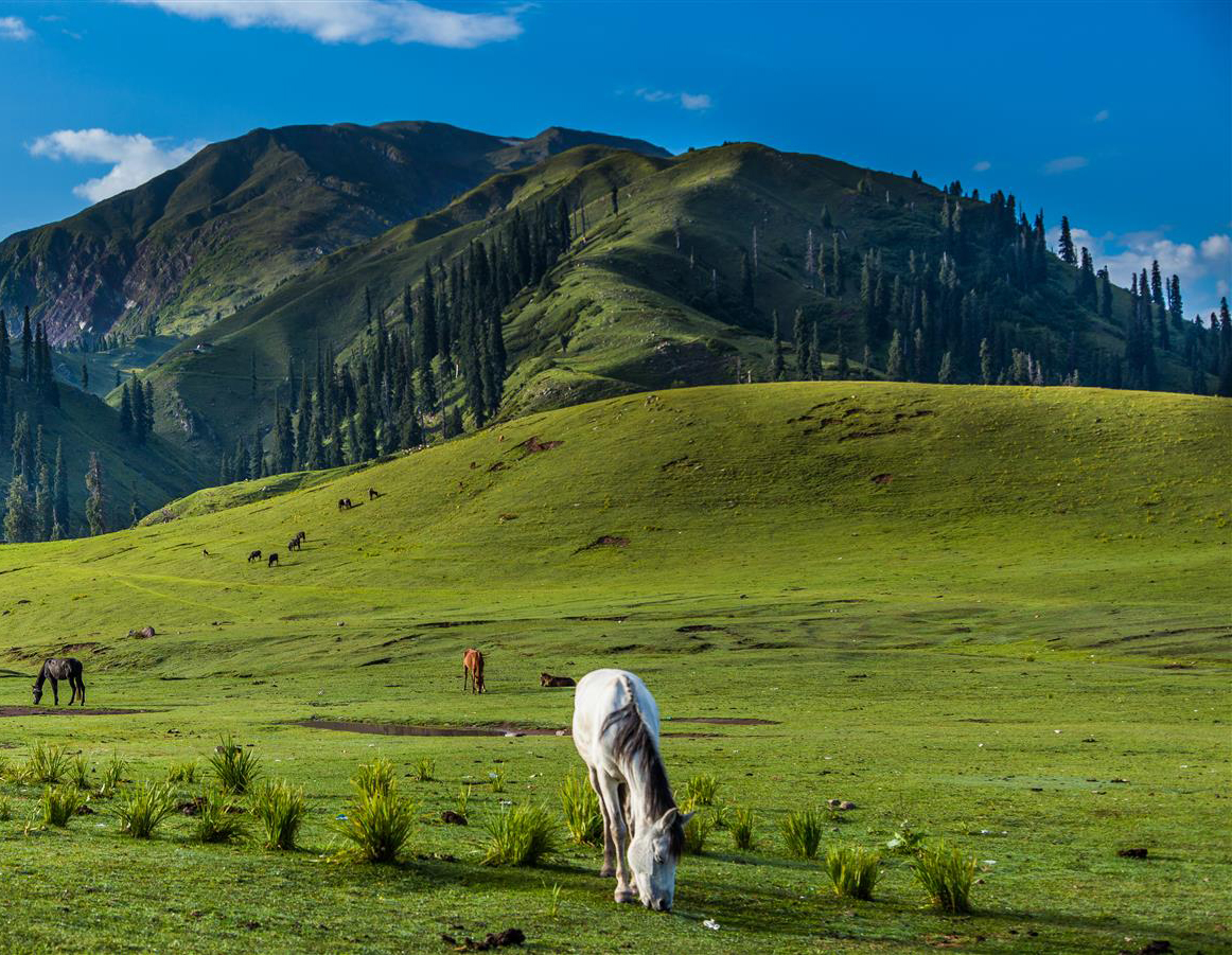 Shaheed Gali (Sirikot) ~ AJK tours | AJK trips | Tours and trips ...