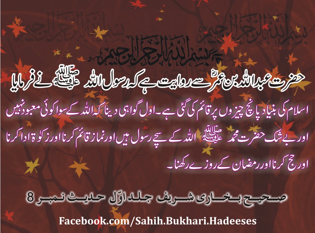 Sahih Bukhari Hadeeses: August 2012