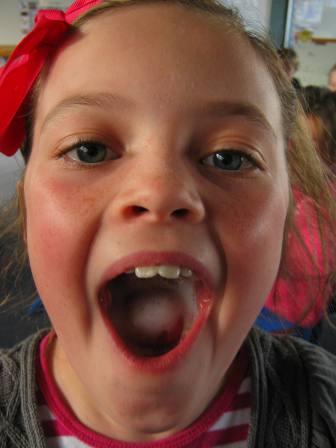 Room 4 Lawrence Area School 2011: Foaming at the Mouth - Sherbet