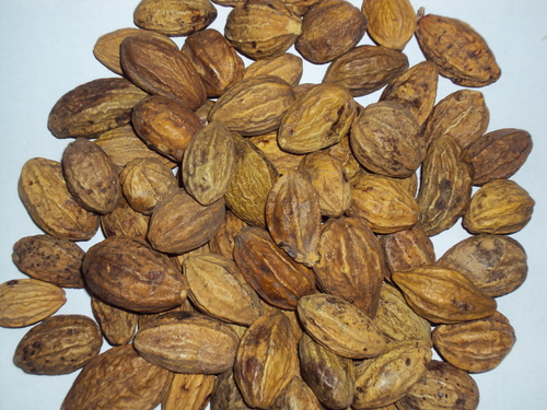 අරළු [Aralu] (Terminalia Chebula‌) ~ අපේ ඔසුපැළ Medicinal Plants of Sri ...