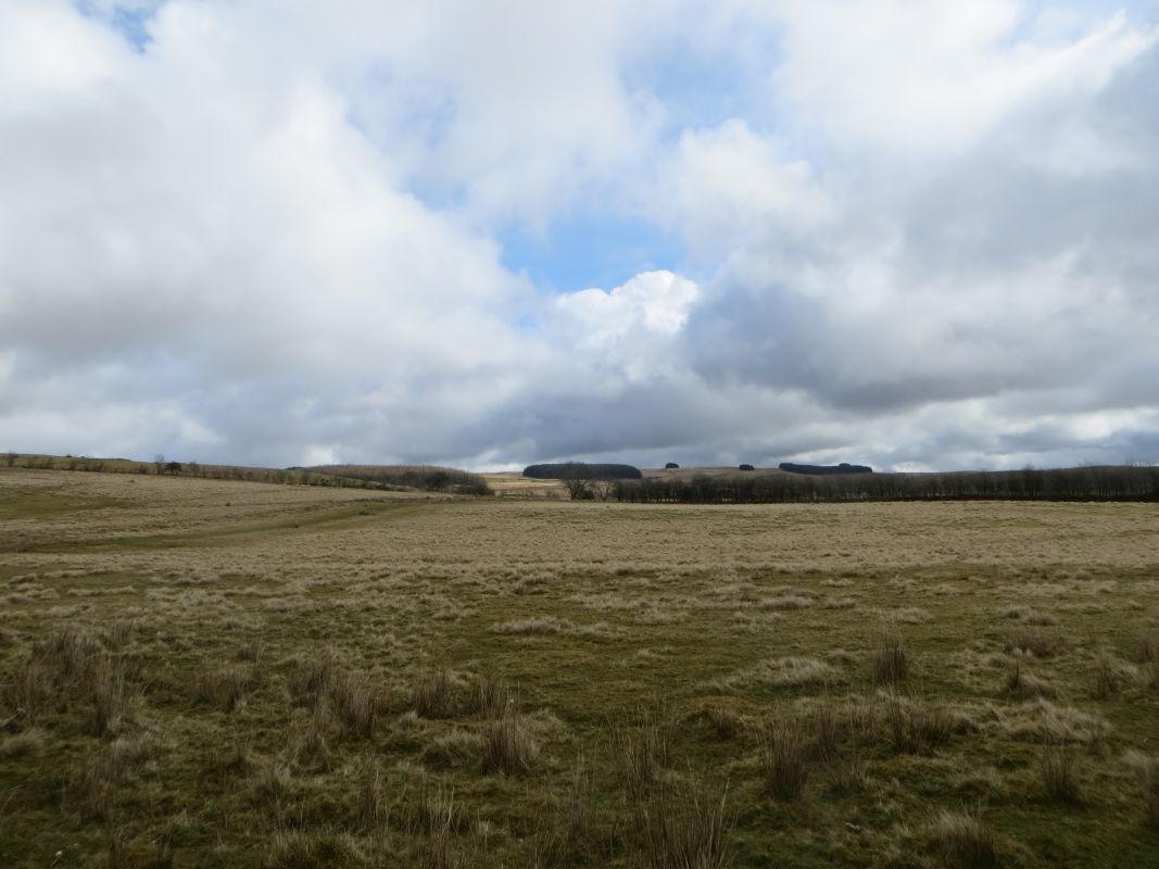 Spud's Daily Photo: The Epynt Ranges