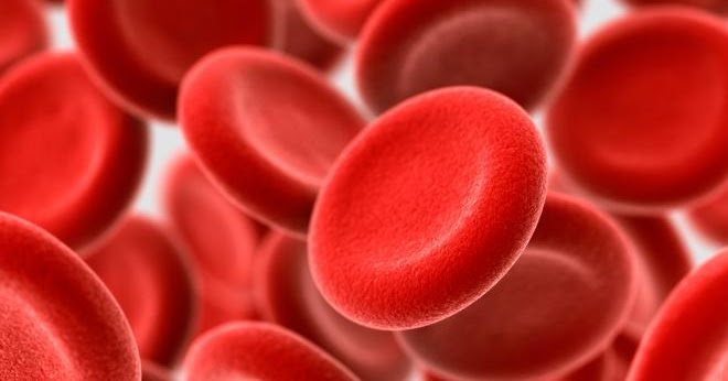 STRUKTUR DAN FUNGSI NORMAL SEL DARAH MERAH ~ M. Azhari Rangkuti