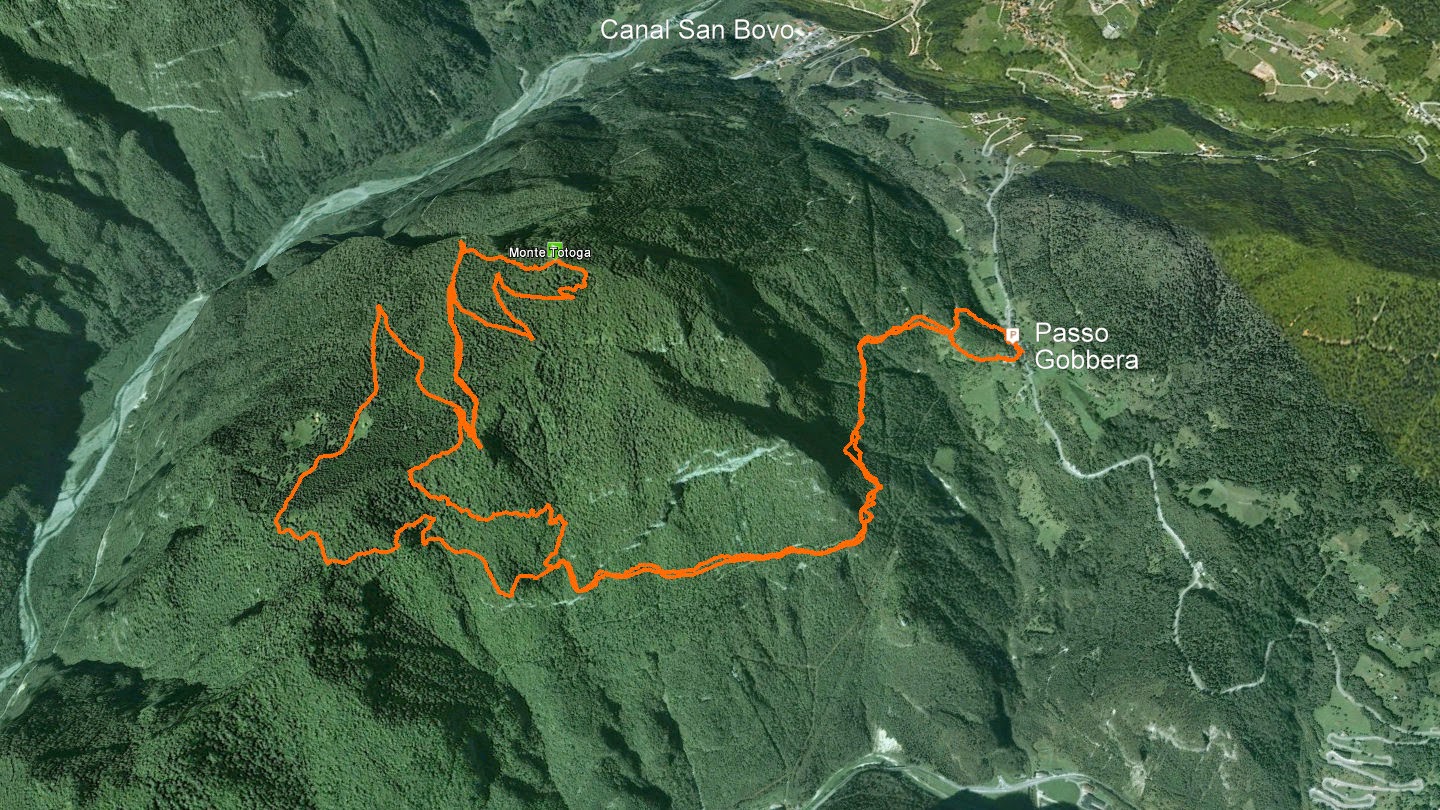 cipputiblog: L'appartato Monte Totoga (Lagorai)