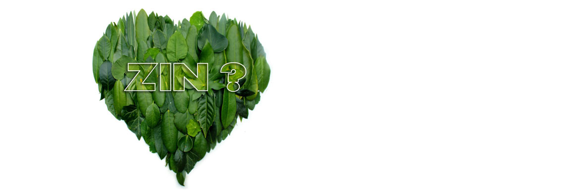 ZIN!: ZIN! in schapenwolken