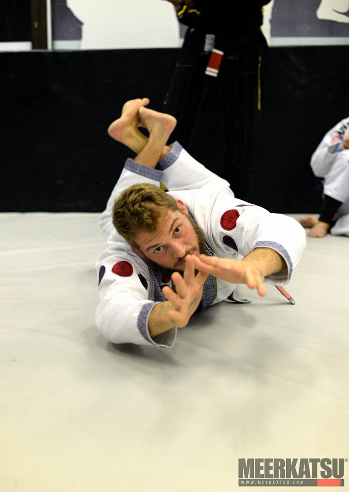 Mike Fowler and the Unstoppable Sweep plus other stories ~ Meerkatsu's Blog