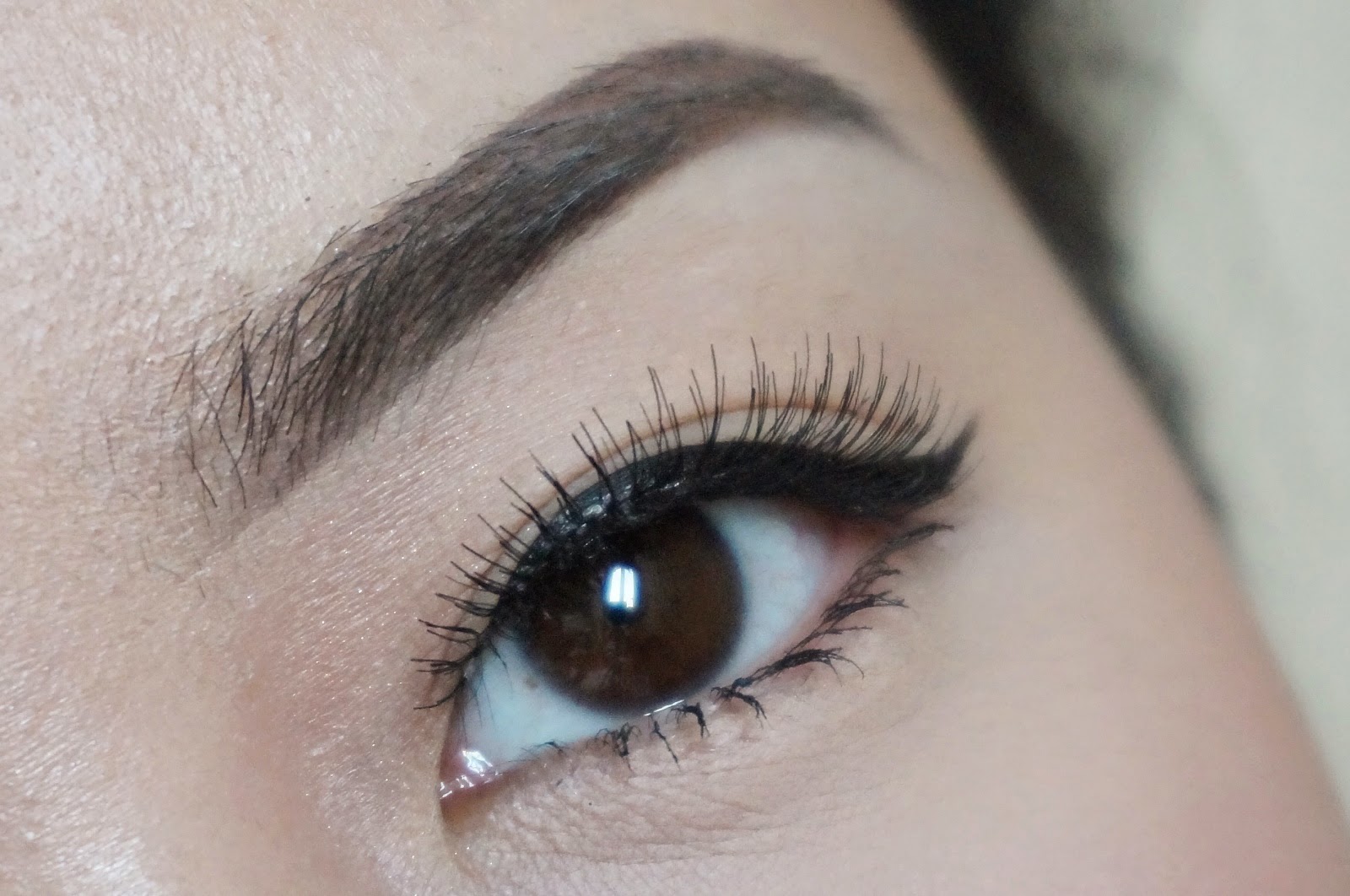 yokoxbeauty: socialeyes lashes review