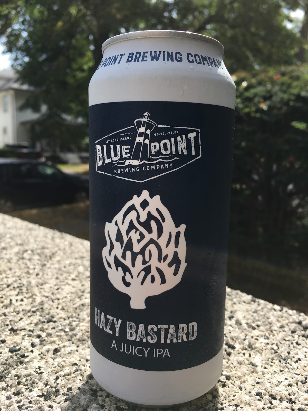 A Crafty Look: Beer Blog: Blue Point Hazy Bastard IPA