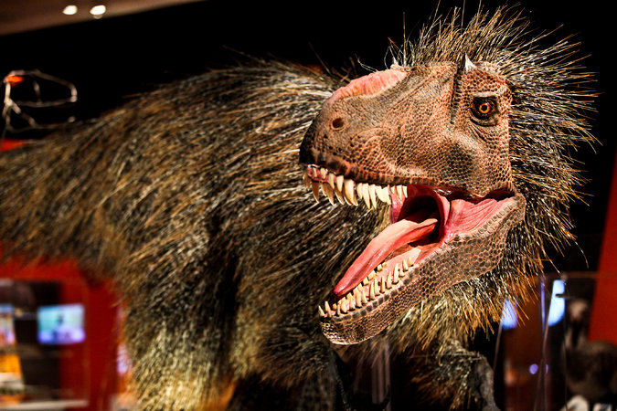 Discovering Darwin: 2016