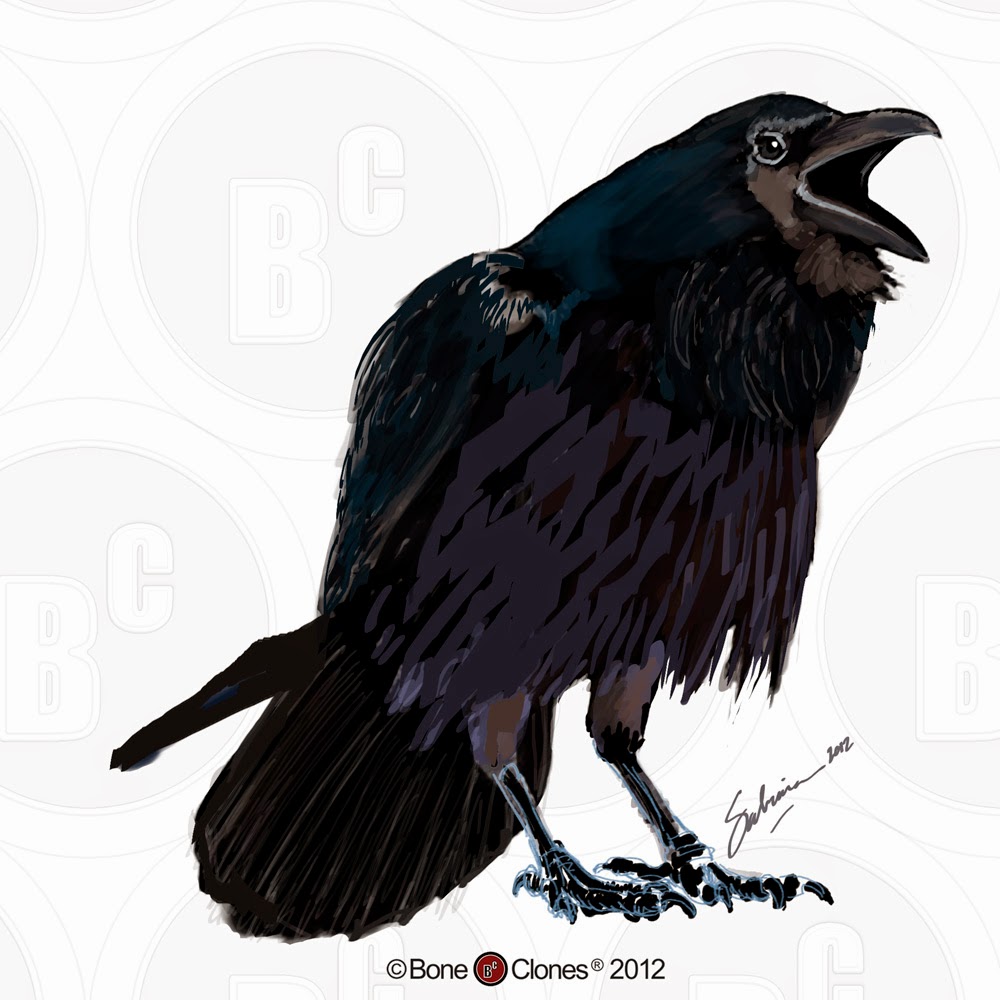 The Raven Reference Images