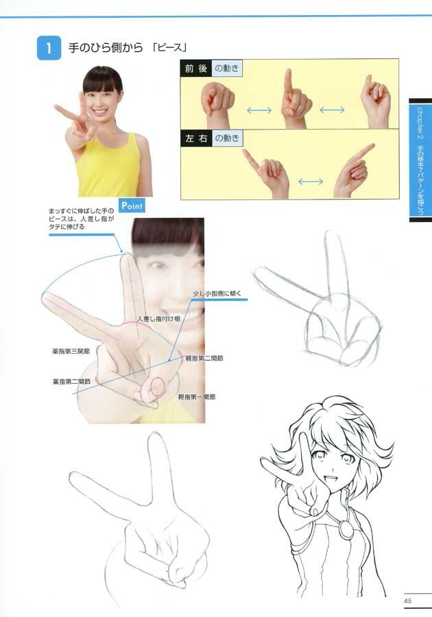 Drawing Manga and Anime >>: Tutorial Draw Hand part 4
