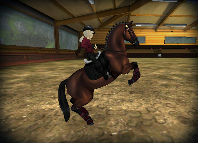 SSO - Luna Catsea: Moje konie