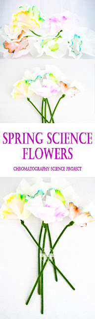 Spring Flowers Chromatography Science Project | testing