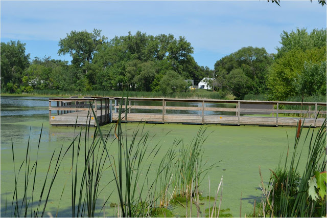 The Ripple Effect: What's Next for Wakefield Lake?