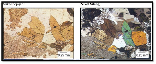 Album Mineral Optik ~ BALITHEREE