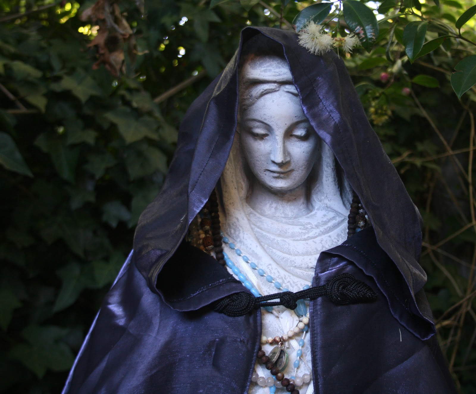 The Mysterium of Mary: Day Seven - Blue cloak of protection