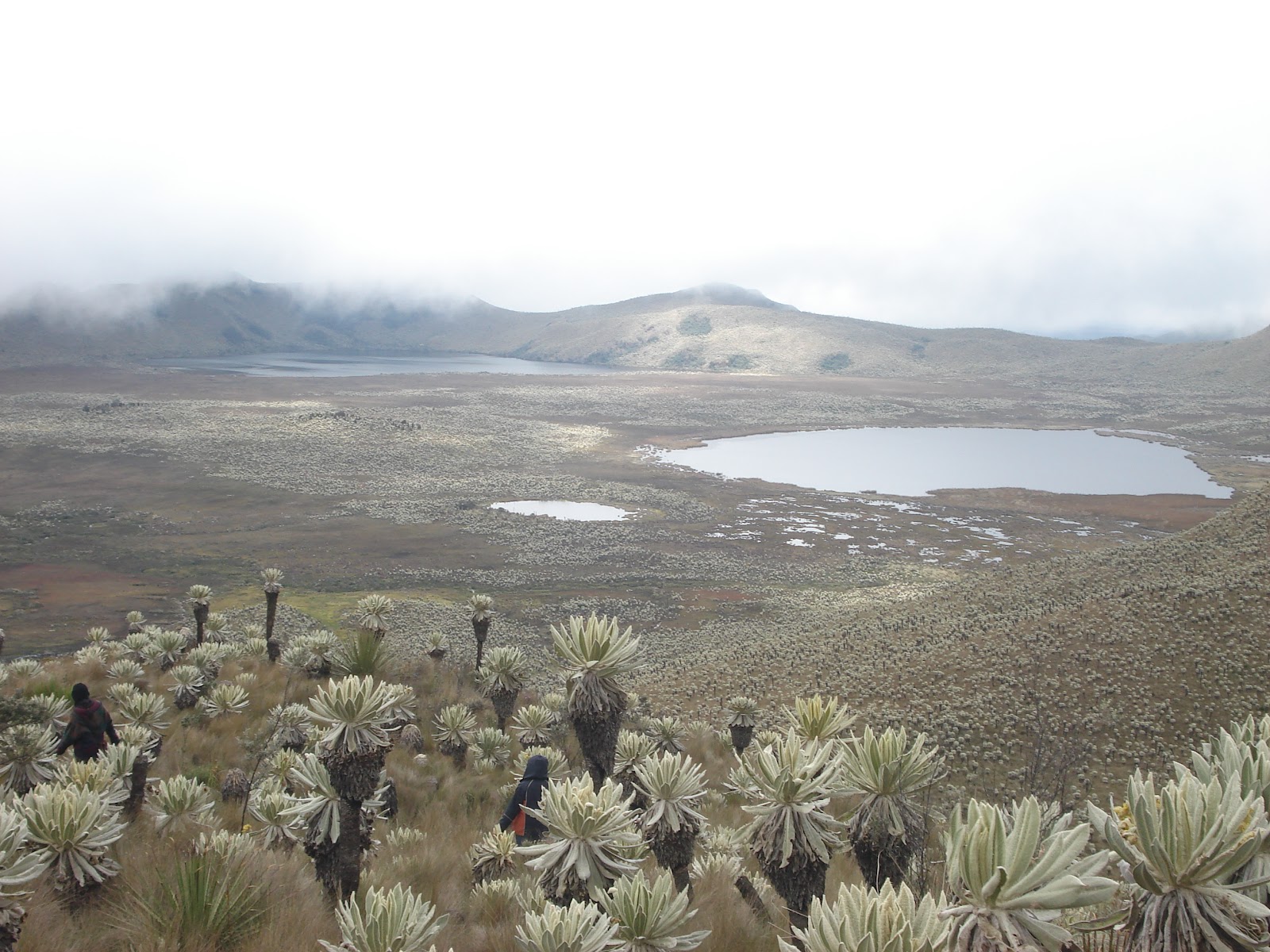 Turismo: Reserva Ecológica El Ángel
