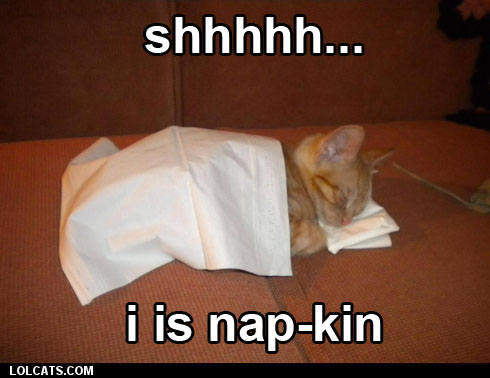 Photography: Funny Cats - Shhh I Is Napkin