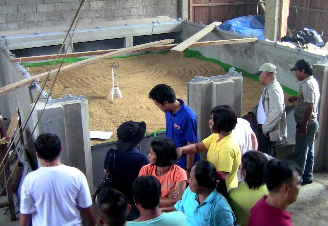 Women in Rice Farming: Philippines: IRRI and partners install community ...