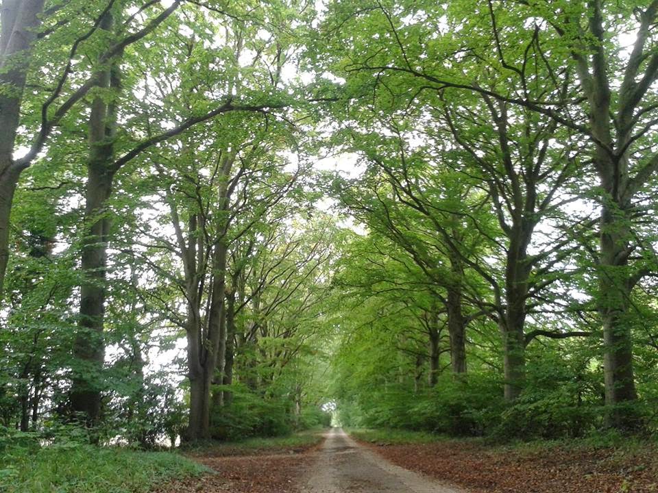 Flora's Post(e): 2014