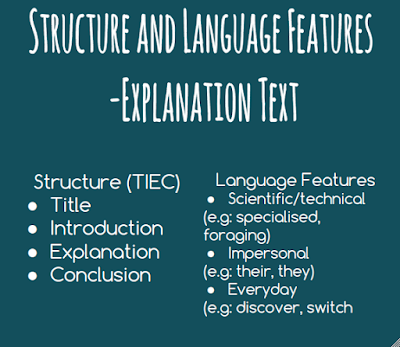 Angari : Structure & Language Features - Explanation Text