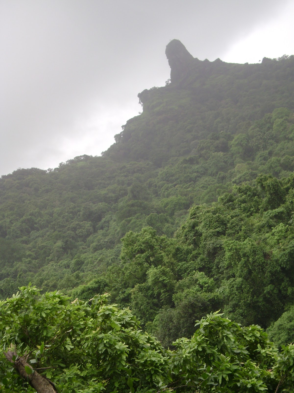 trek to karnala fort & bird santuary