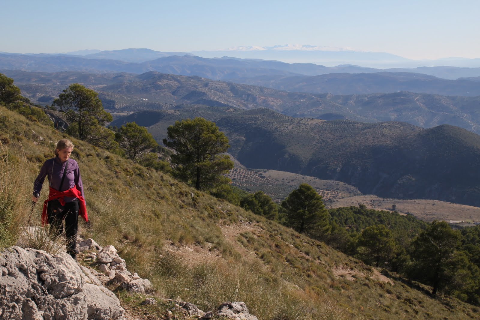 POR LAS MONTAÑAS: Subida a Sierra Alta de Rute 1328 m