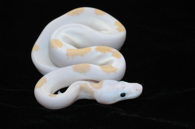 World's All Amazing Things, Pictures,Images And Wallpapers: Beautiful ...