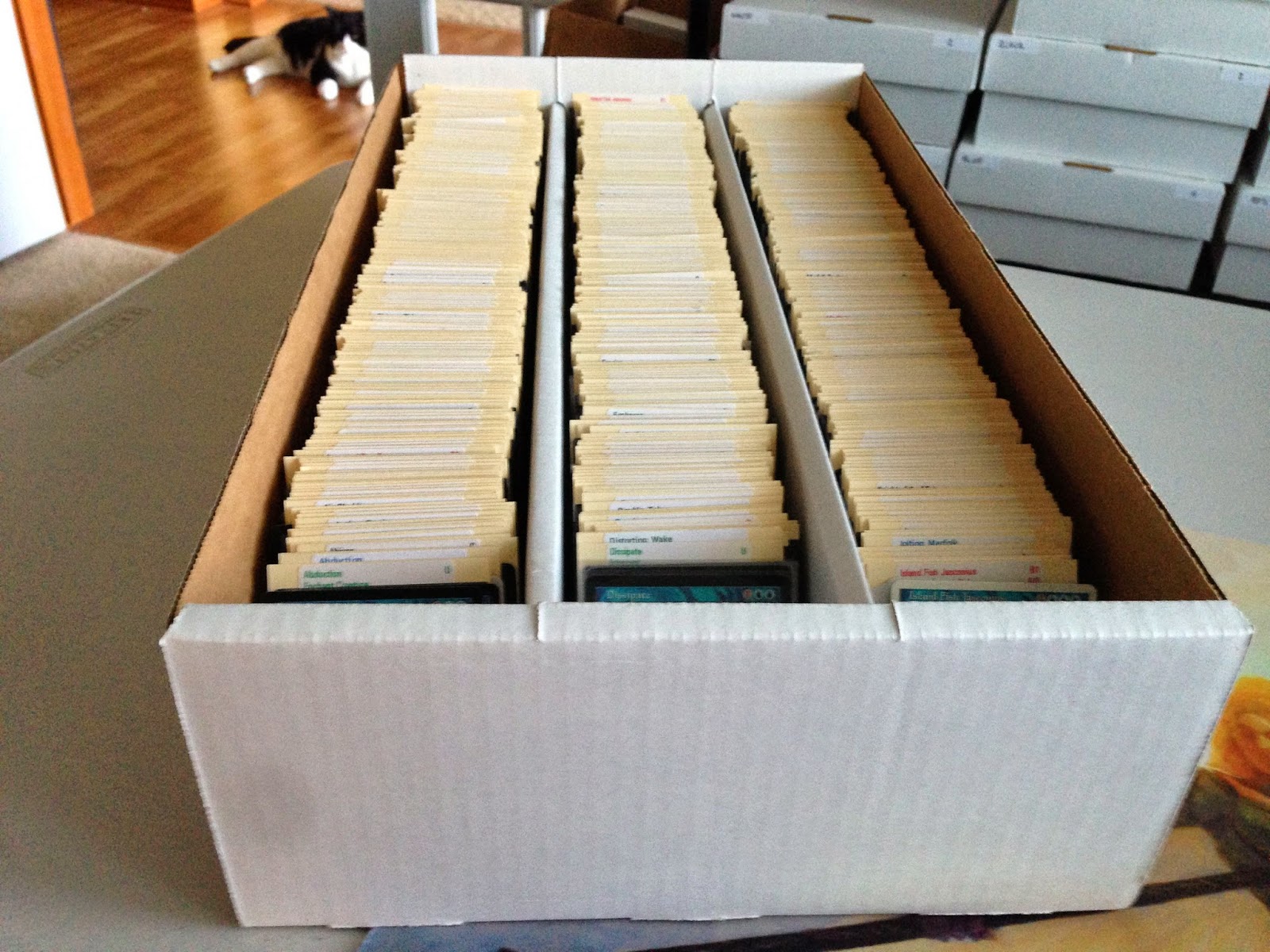 Collecting Magic: the Gathering: Collection Storage