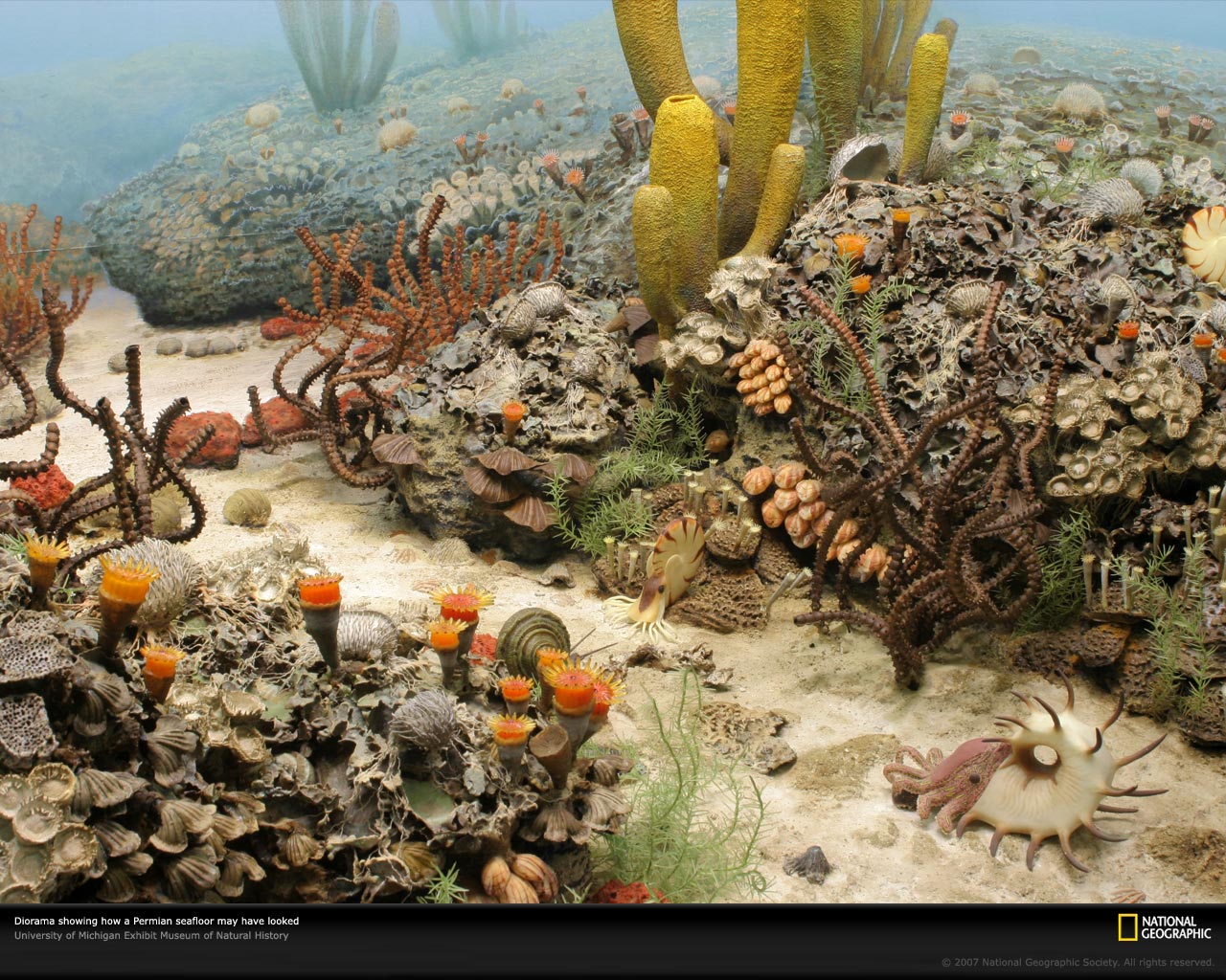 Historia geológica de la Tierra: Pérmico