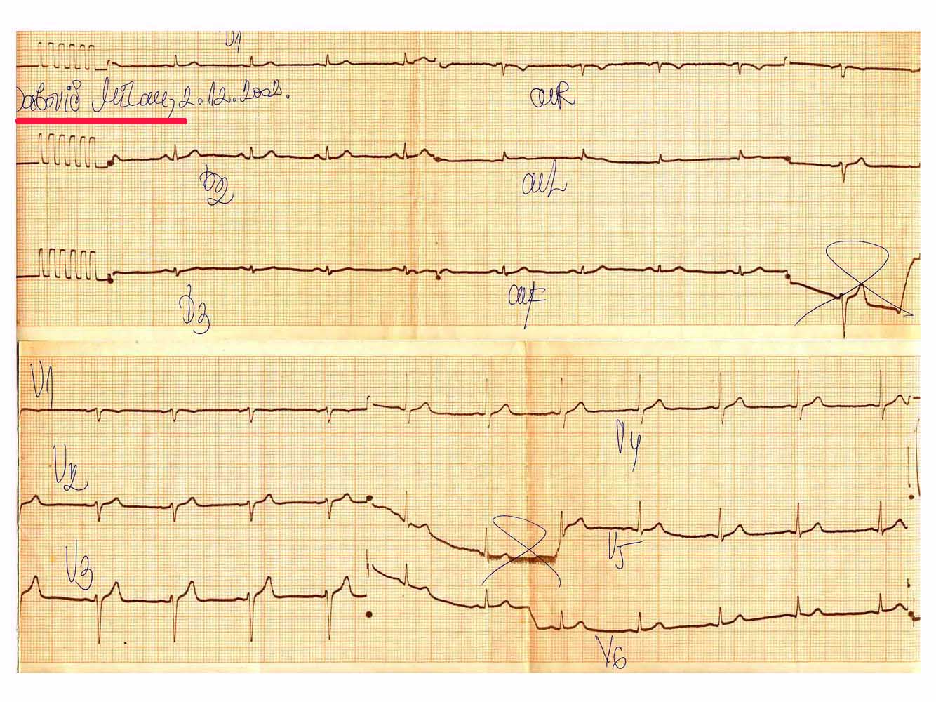 Milan Dabovic...BIOENERGIJA... Istina ili zabluda...!!!