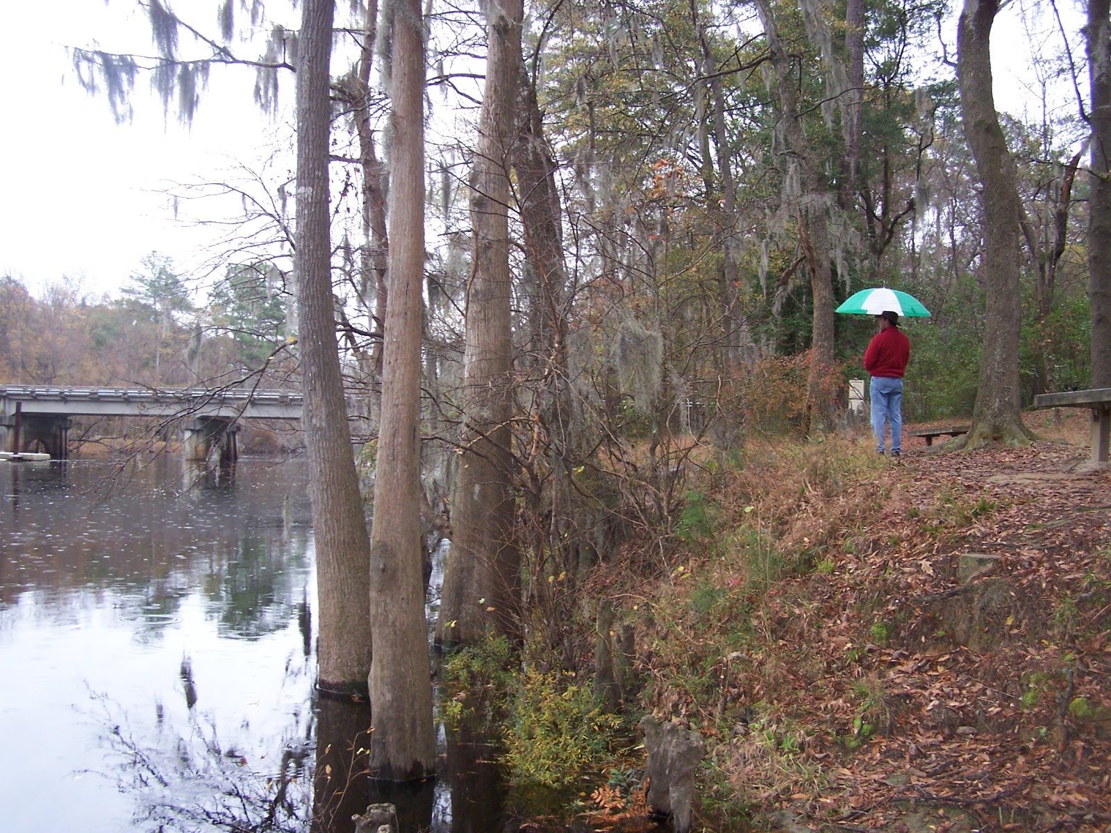 Earthmama's Natural Life: Camping at South Carolina State Parks