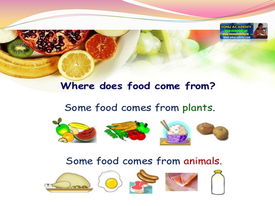 SONU ACADEMY: COMPONENTS OF FOOD-TEXT