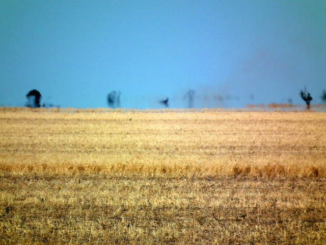 Days on the Claise: Heat Haze