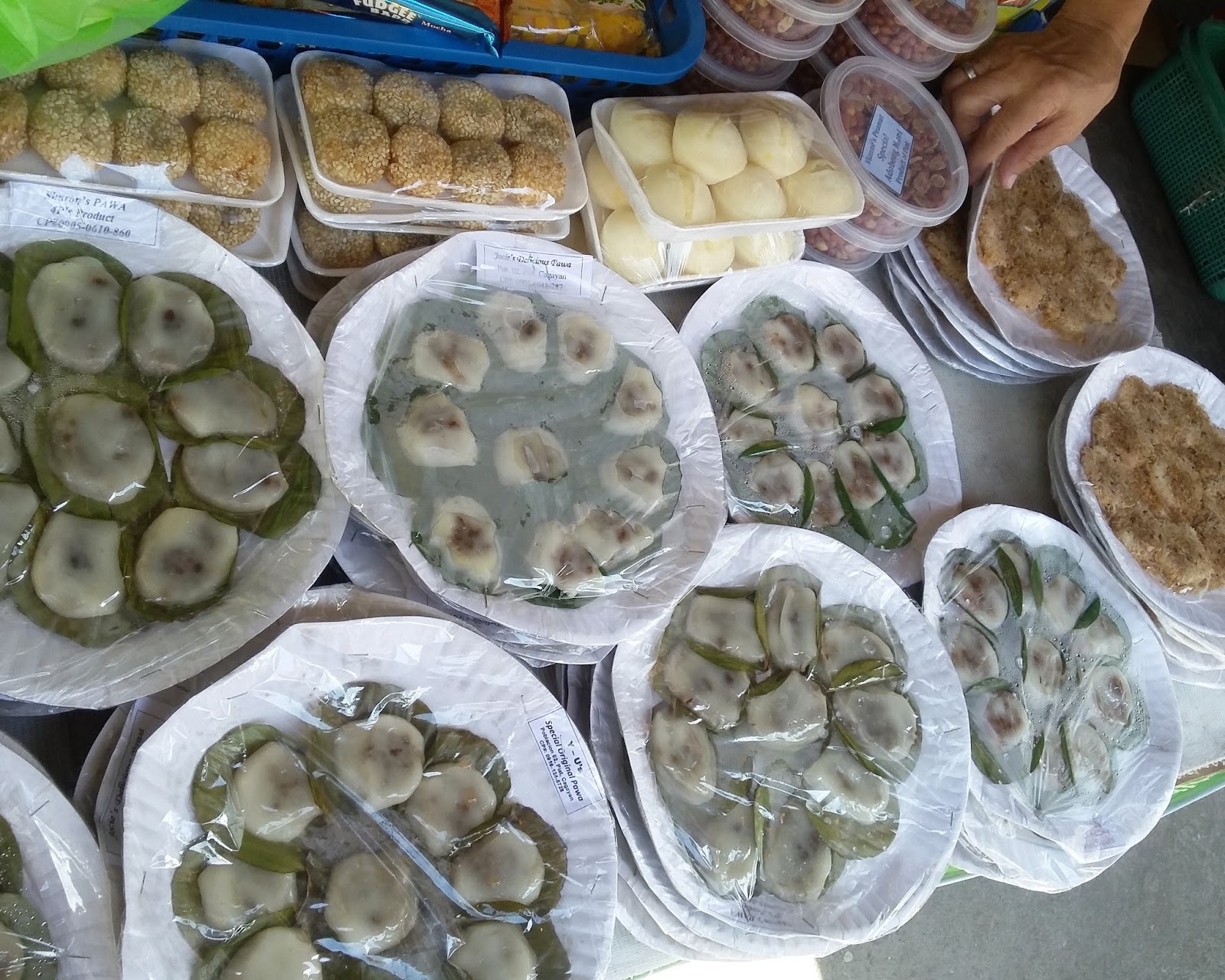 Things to do in Piat, Cagayan Valley - Everything About Chrysty