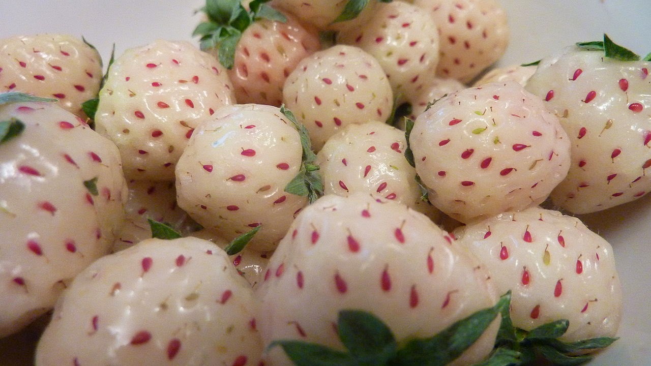 WHAT IS A PINEBERRY? |The Garden of Eaden