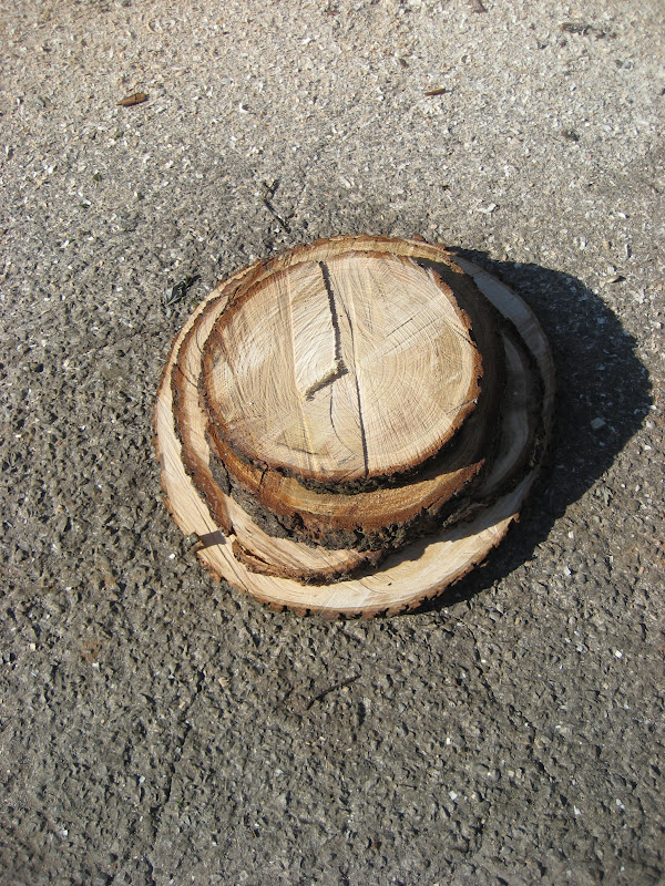 DIY Tree Trunk Cupcake Stand | Alina Sewing + Design Co.