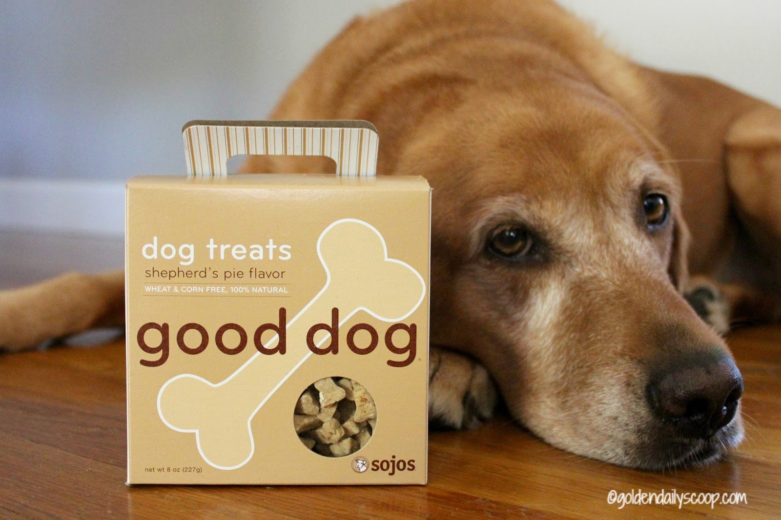 Sojos Dog Food & Treats Your Dog Will Simply Love