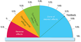 Toad-ally Exceptional Learners: How I Increased Reading Fluency Scores