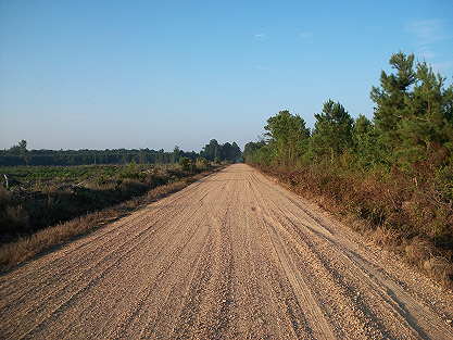 The Crossett Light: The Amazing Crossett Light - The New Light