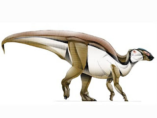 Species New to Science: [Paleontology • 2010] Gryposaurus: a taxonomic ...