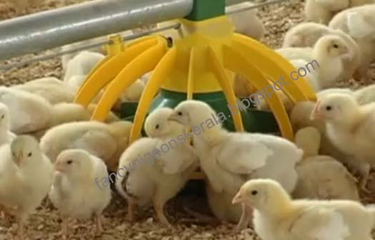 தமிழ் மண் மணம் - மலரும் நினைவுகள் (Nostalgic Tamilnadu) | Page 14 ...