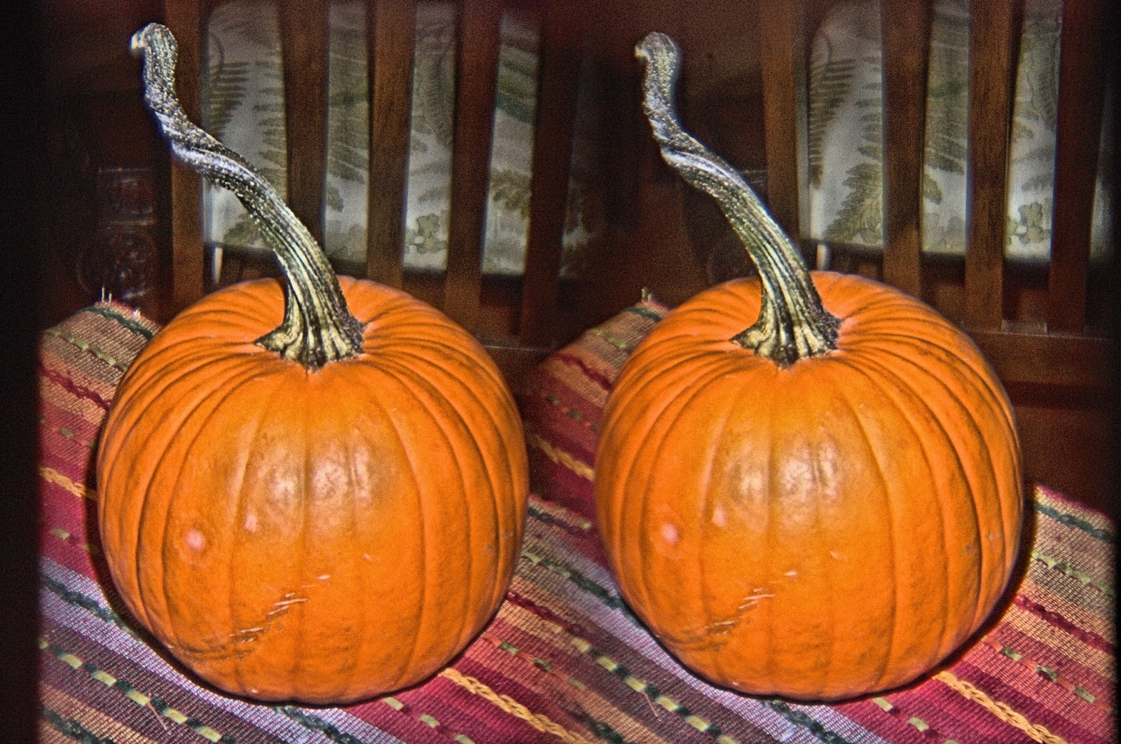 Don Schaeffer's Photos and Art: Stereograms