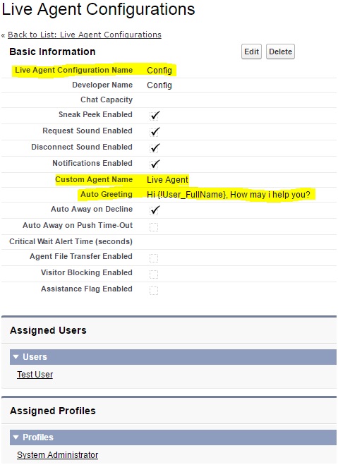 Salesforce Developer: Live Chat Implementation with Pre-Chat Form