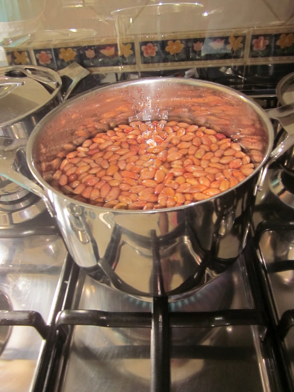 International Agriculture and Development: How to Make your Peanuts ...